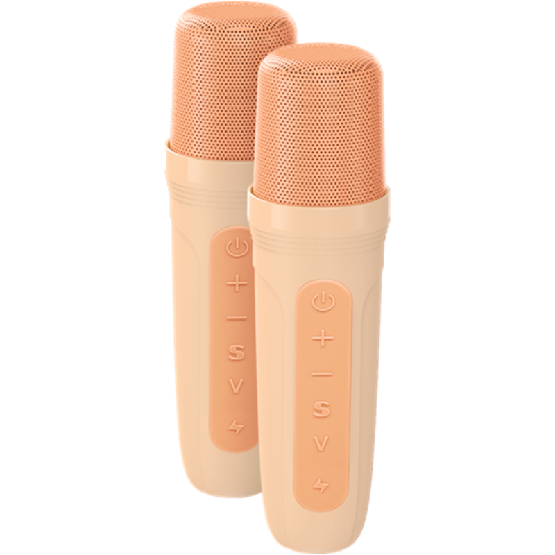 Enceinte Bigben Karaoke avec 2 micros sans fil - Rose -PARTYBTKMP ...