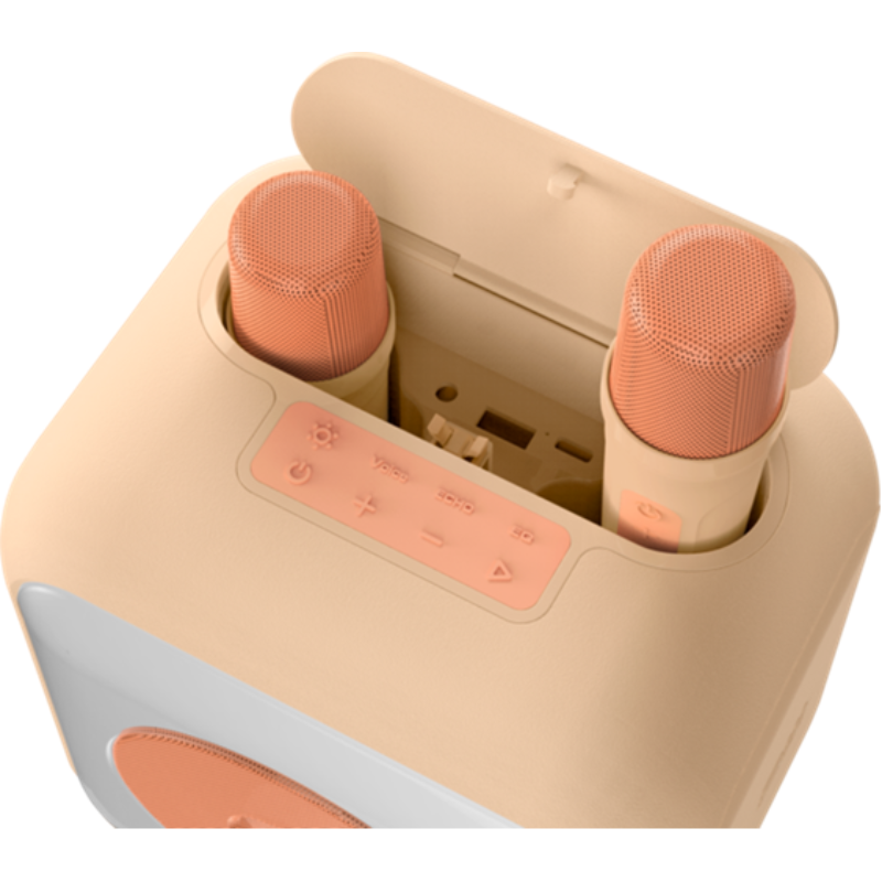 Enceinte Bigben Karaoke avec 2 micros sans fil - Rose -PARTYBTKMP ...